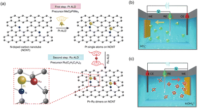 Single atom catalysts for water electrolysis: from catalyst-coated ...