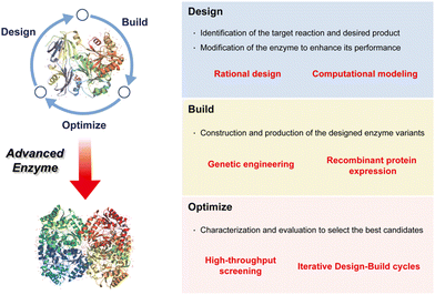 Multidisciplinary approaches for enzyme biocatalysis in pharmaceuticals ...