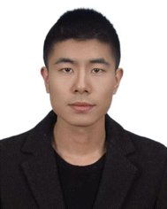 Nanostructured single-atom catalysts derived from natural building ...