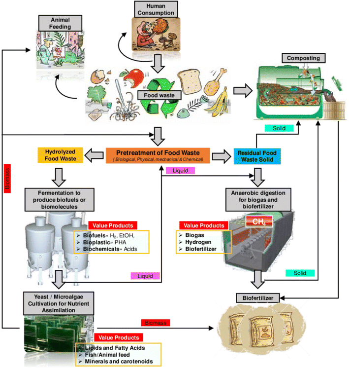 Microbial bioconversion of food waste to bio-fertilizers - Sustainable ...