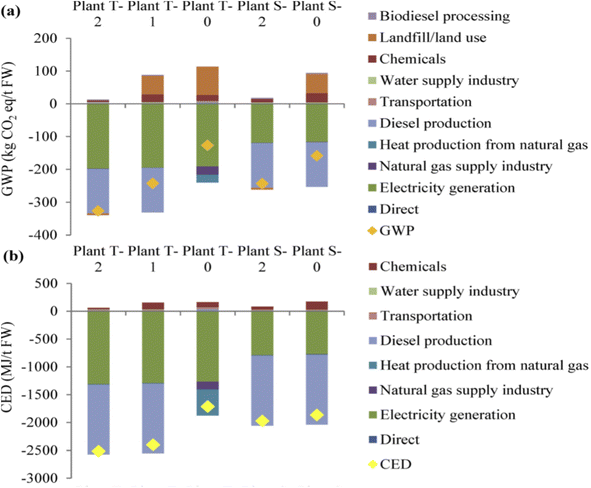Food waste: environmental impact and possible solutions - Sustainable ...