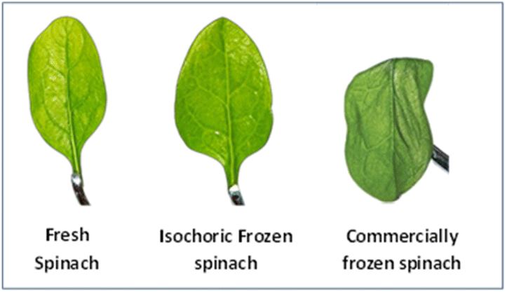 A comprehensive review on isochoric freezing: a recent technology for ...
