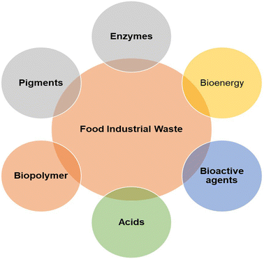 A comprehensive review of food waste valorization for the sustainable ...