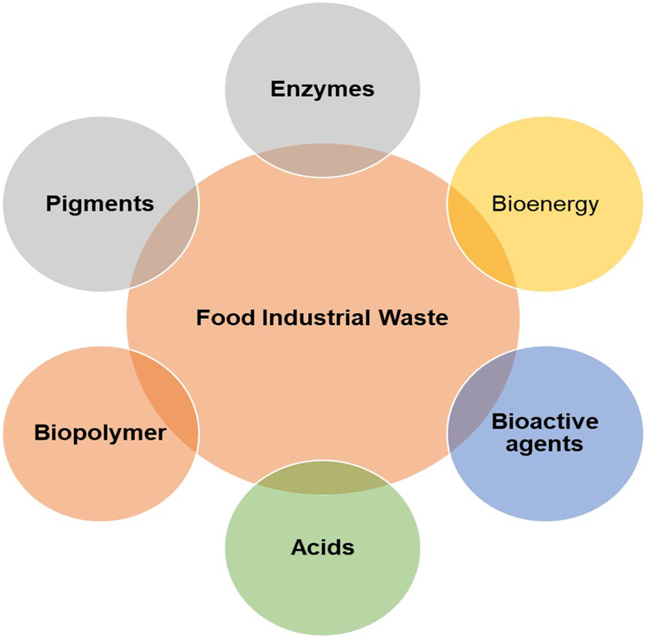 A comprehensive review of food waste valorization for the sustainable ...