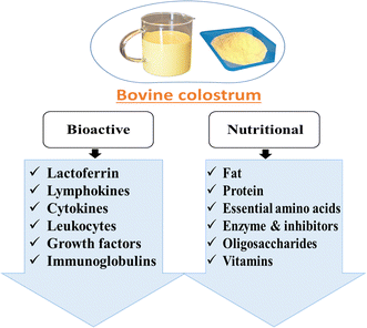 Bovine colostrum as a promising nutraceutical: a systematic review ...