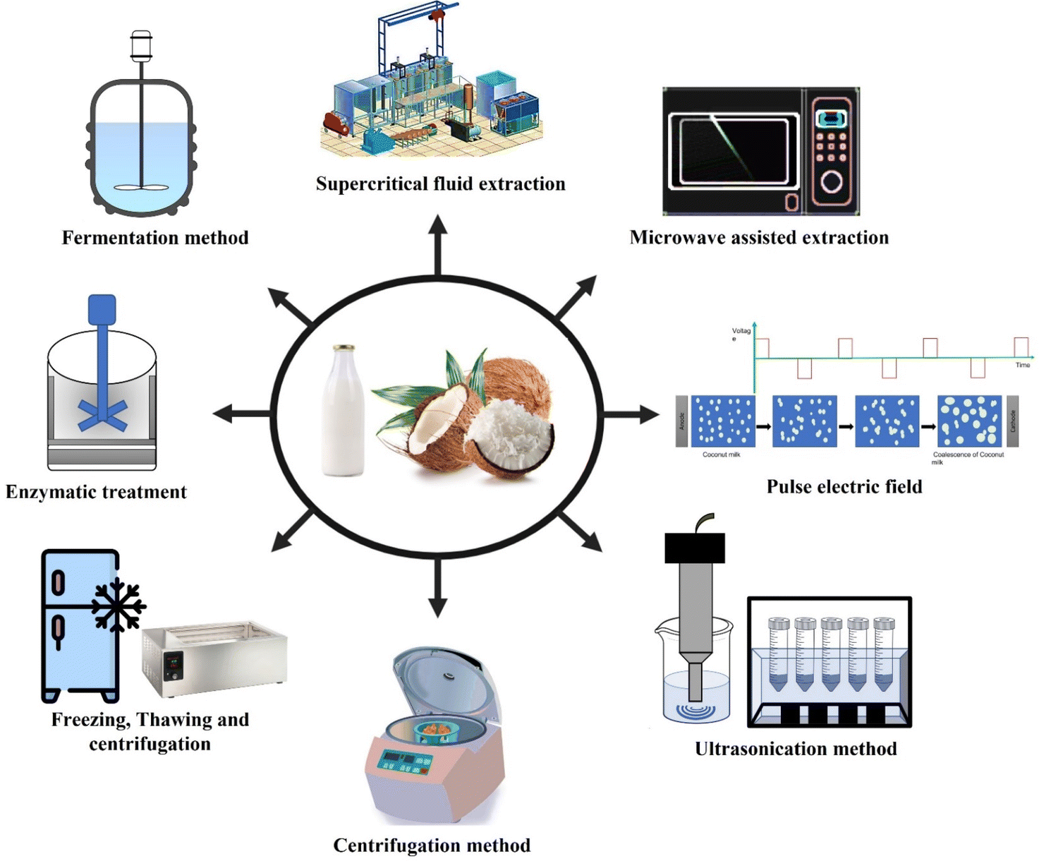 Virgin coconut oil: wet production methods and food applications – a ...