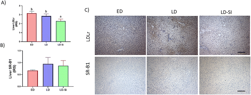 Silicon-enriched meat positively improves plasma lipidaemia and ...