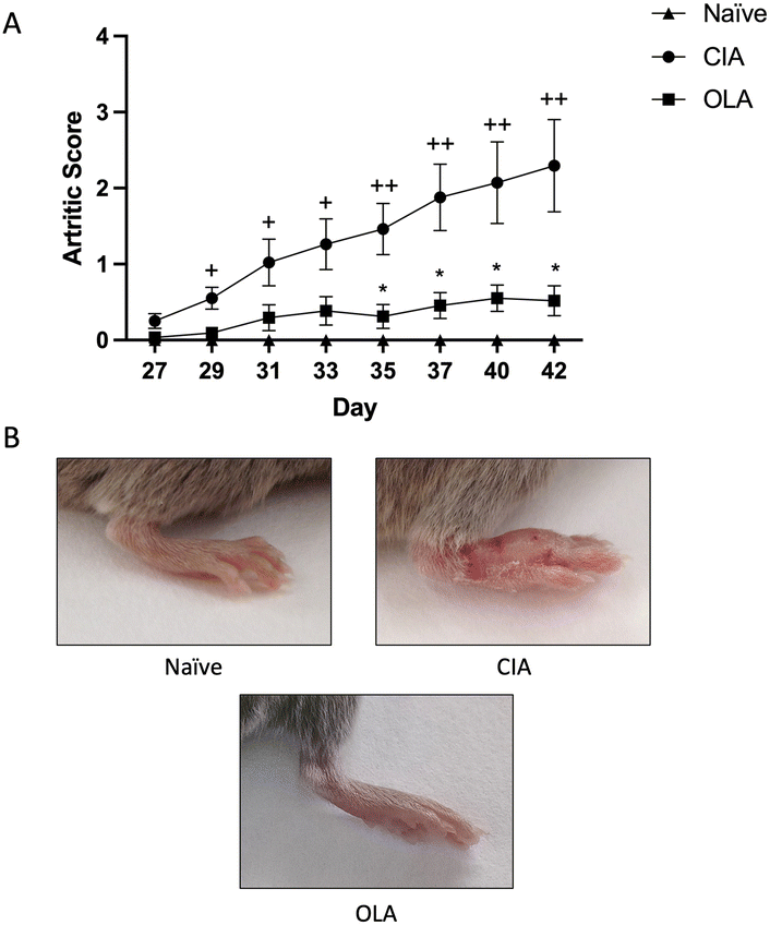 Dietary oleacein, a secoiridoid from extra virgin olive oil, prevents ...