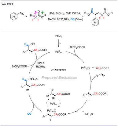 Palladium-catalyzed carbonylation of activated alkyl halides via ...