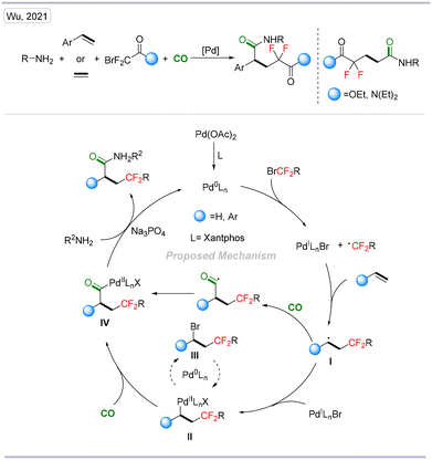 Palladium-catalyzed carbonylation of activated alkyl halides via ...