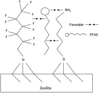 Designing zeolites for the removal of aqueous PFAS: a perspective ...