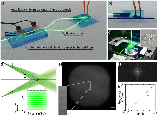 Structured-light-sheet imaging in an integrated optofluidic platform ...