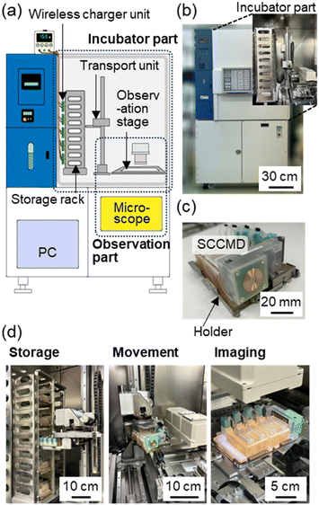 Standalone cell culture microfluidic device-based microphysiological ...