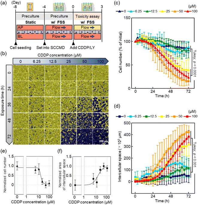 Standalone cell culture microfluidic device-based microphysiological ...
