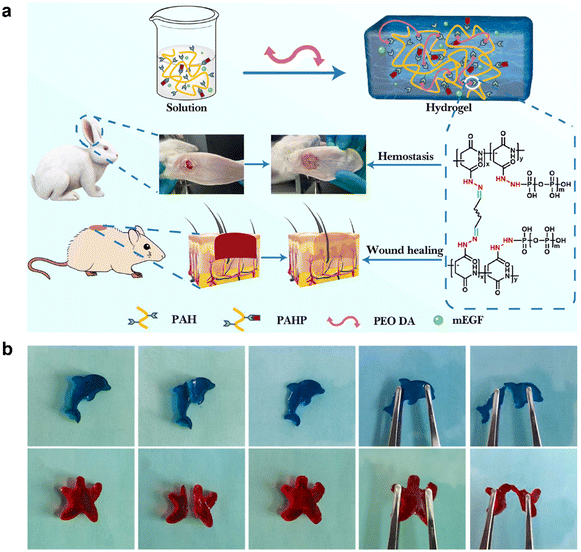 Hydrogel-based dressings designed to facilitate wound healing ...