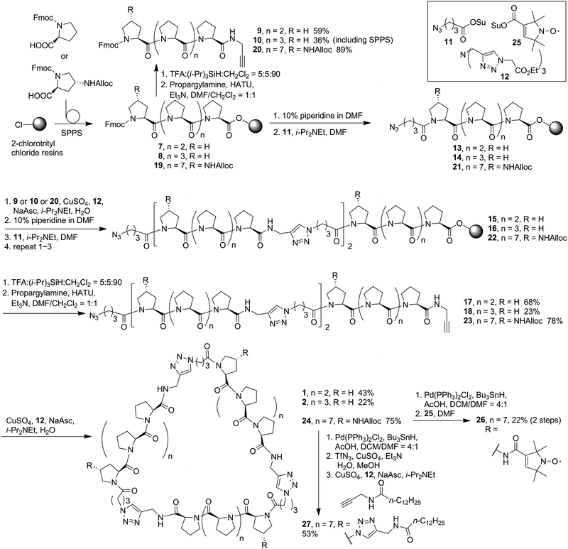 Comprehensive characterization of polyproline tri-helix macrocyclic ...