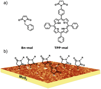 Clicking beyond suspensions: understanding thiol–ene chemistry on solid ...