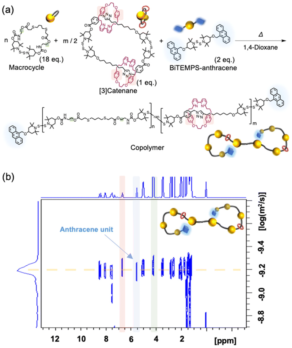 A thermally driven rotaxane–catenane interconversion with a dynamic bis ...