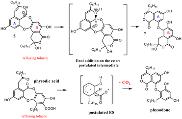 Δ-Keto-acid/hydroxy-lactone isomerization in some lichen depsides ...