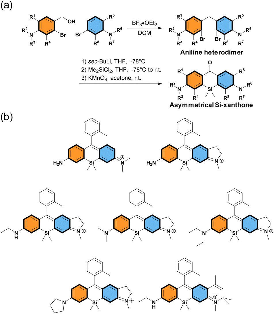Recent Advances In Si Rhodamine Based Fluorescent Probes For Live Cell Imaging Organic