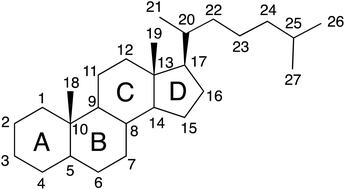 Recent developments in the enzymatic modifications of steroid scaffolds ...
