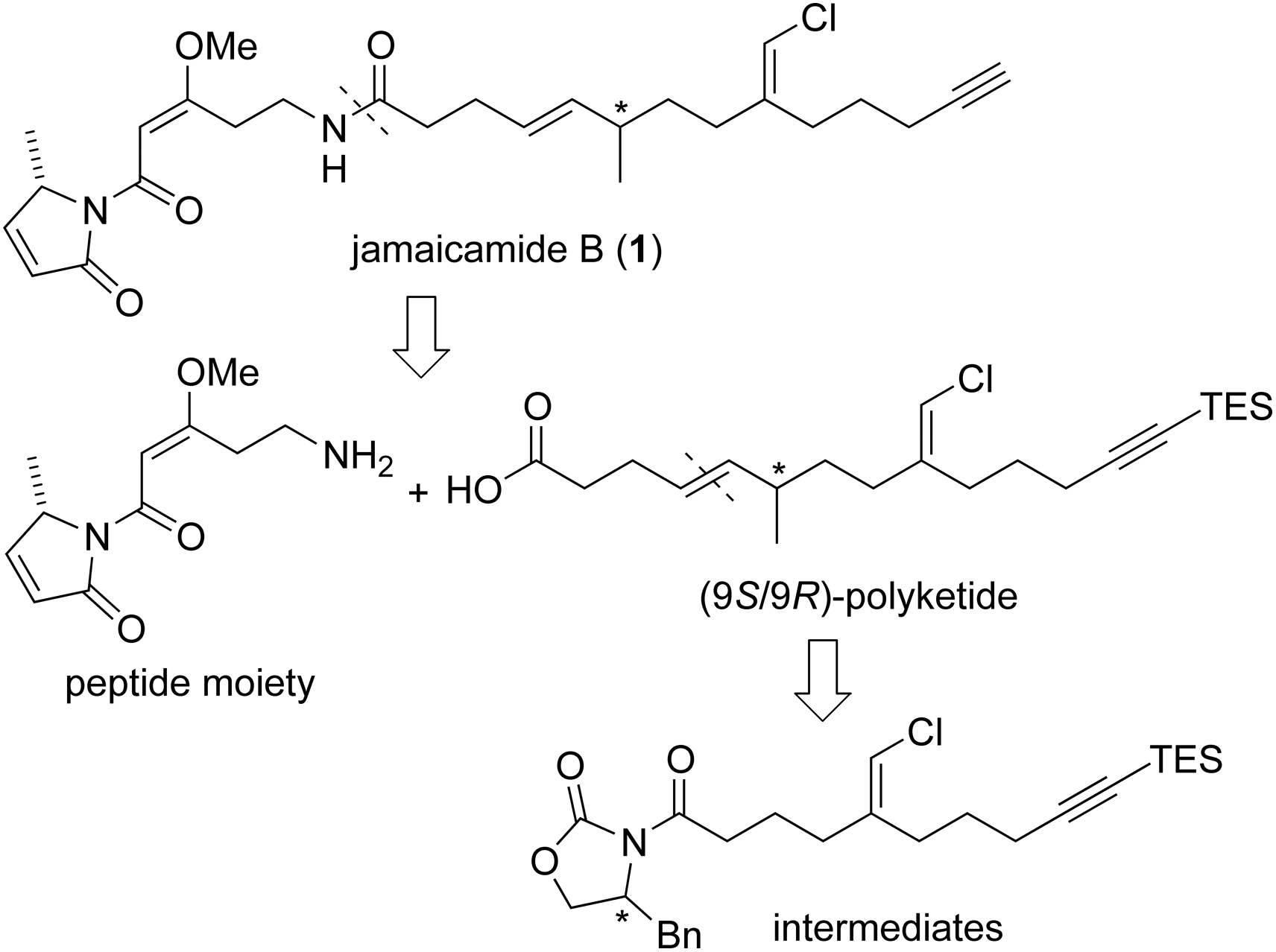Total synthesis of jamaicamide B - Organic & Biomolecular Chemistry ...