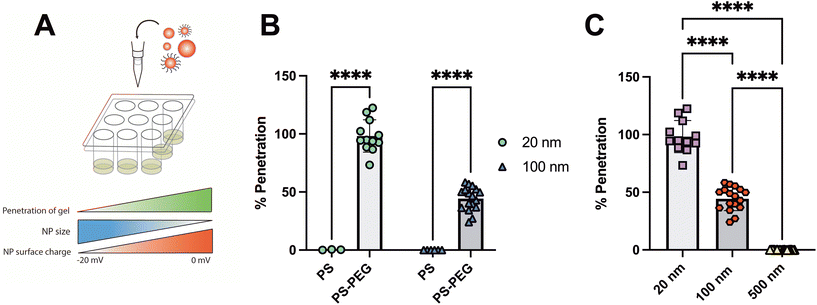 Synthetic mucus barrier arrays as a nanoparticle formulation screening ...
