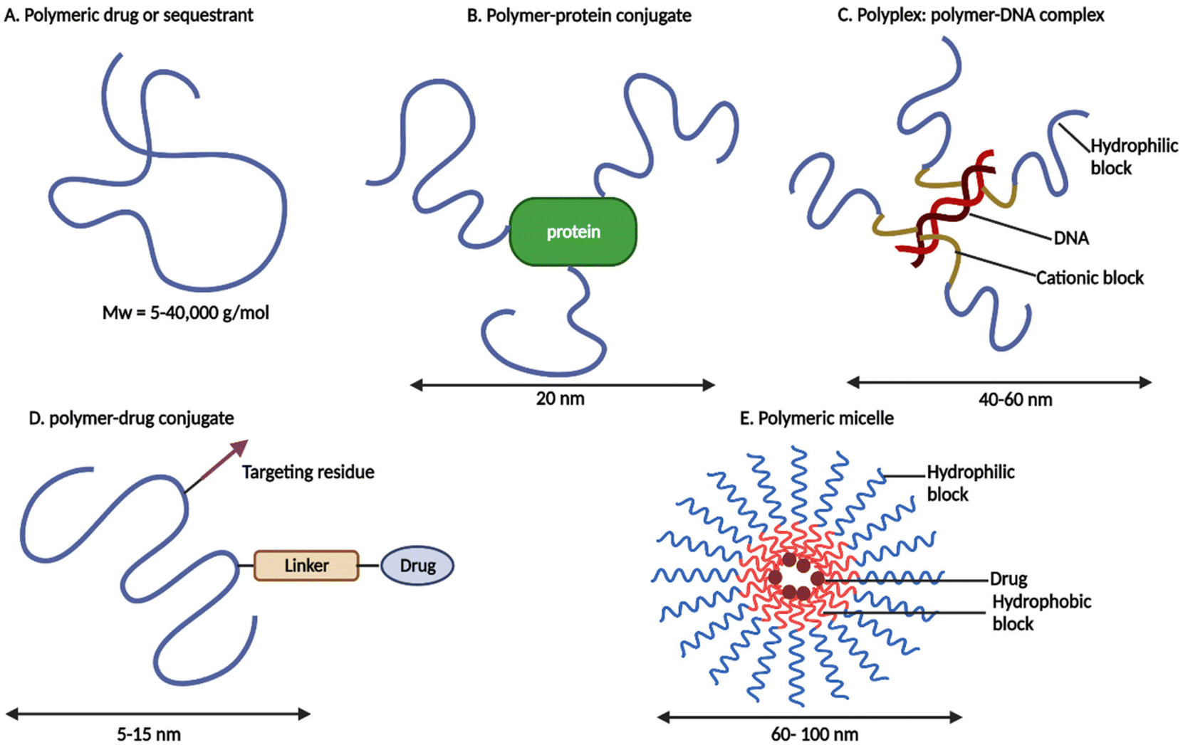 Polymer–drug conjugates as nano-sized multi-targeting systems for the ...