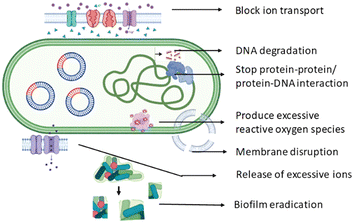 Antimicrobial nanoparticles: current landscape and future challenges ...