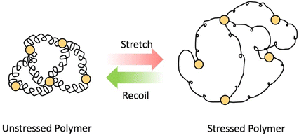 Educational series: characterizing crosslinked polymer networks ...