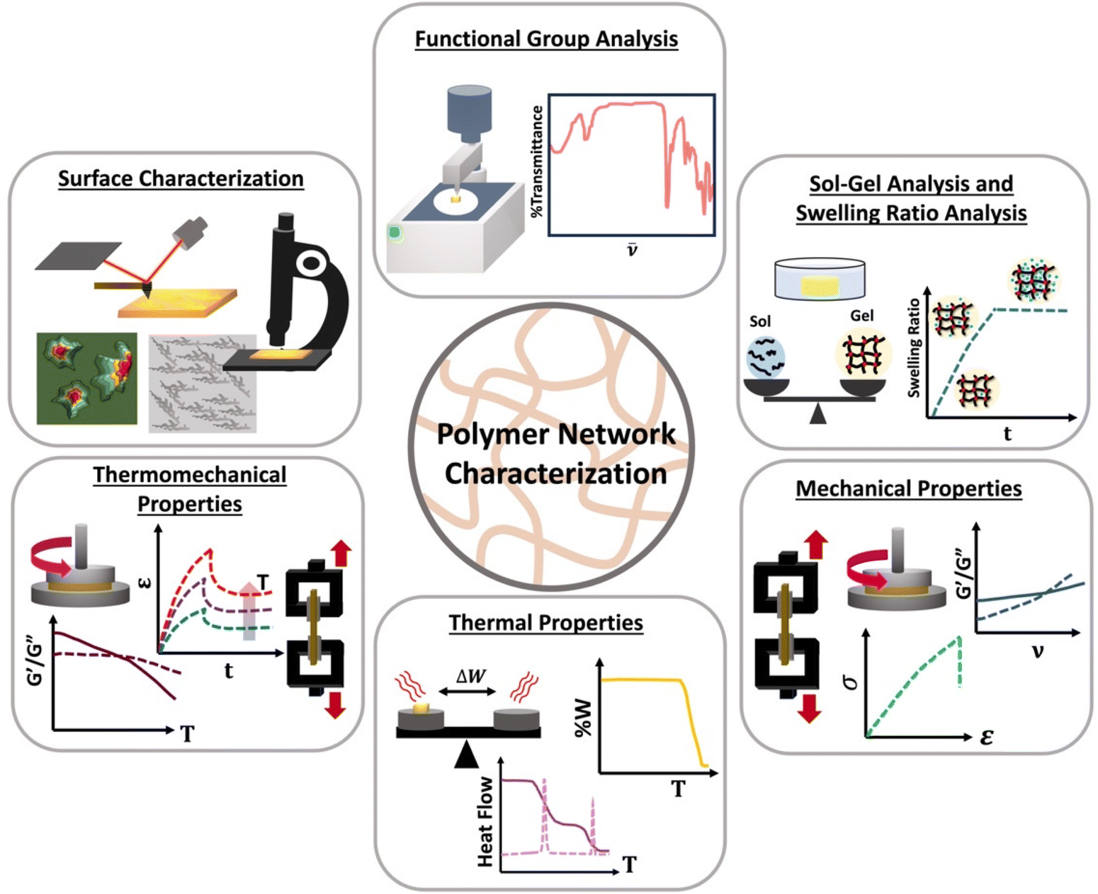 Educational series: characterizing crosslinked polymer networks - Polymer Chemistry (RSC ...