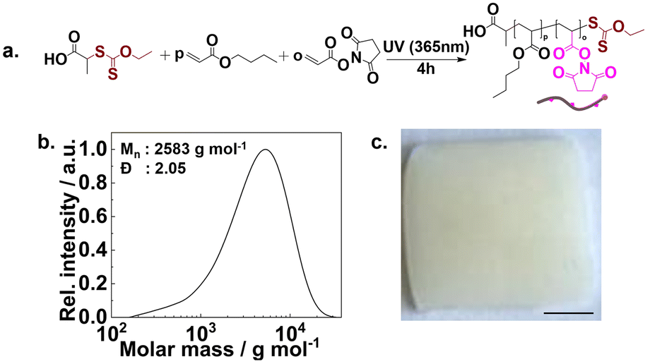 Polymer brush-assisted microcontact printing: using a tailor-made ...