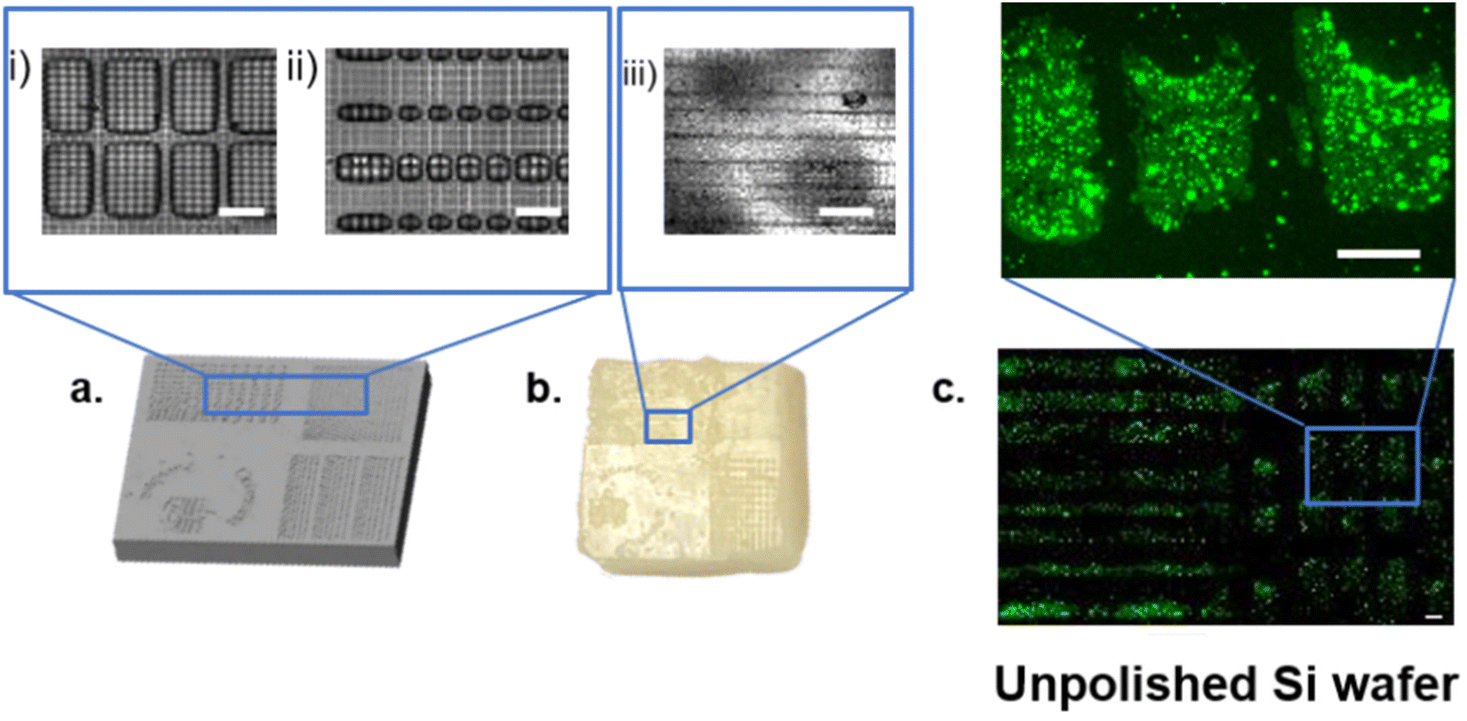 Polymer brush-assisted microcontact printing: using a tailor-made ...