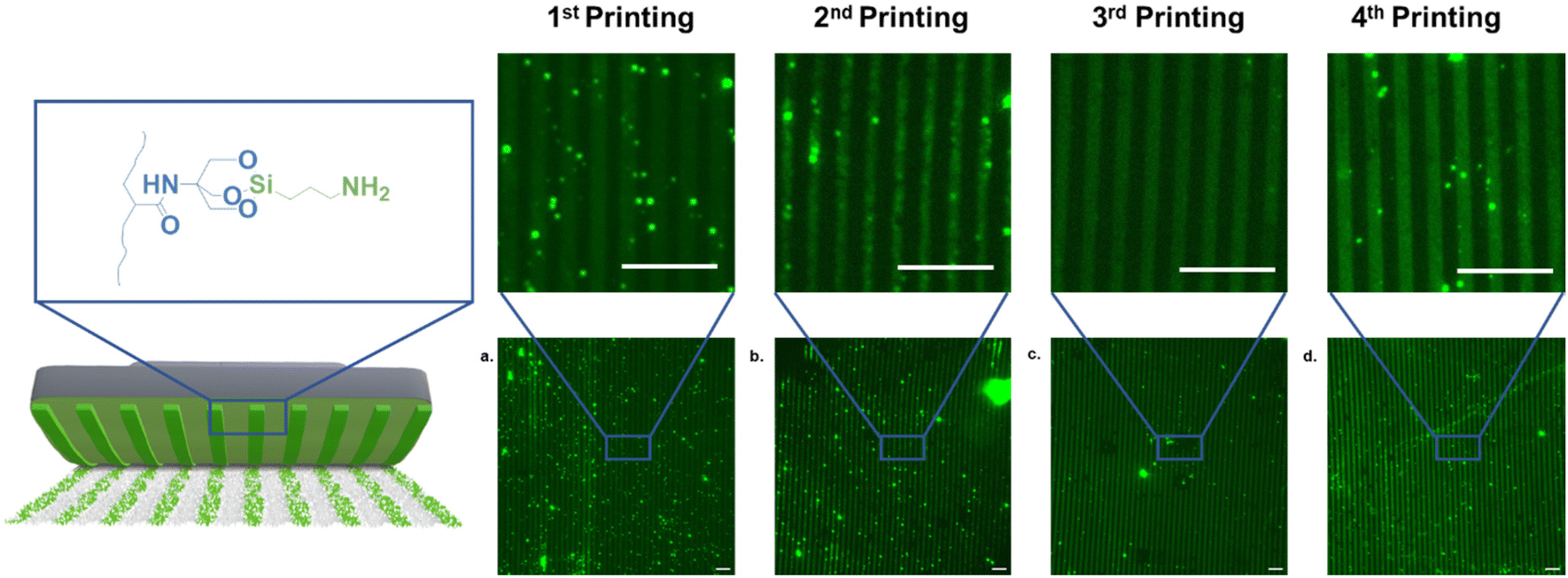 Polymer brush-assisted microcontact printing: using a tailor-made polydimethylsiloxane (PDMS ...
