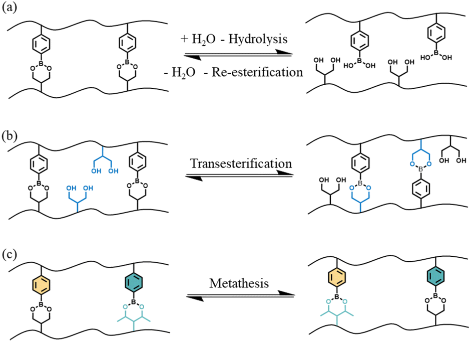 A combined computational and experimental study of metathesis and ...
