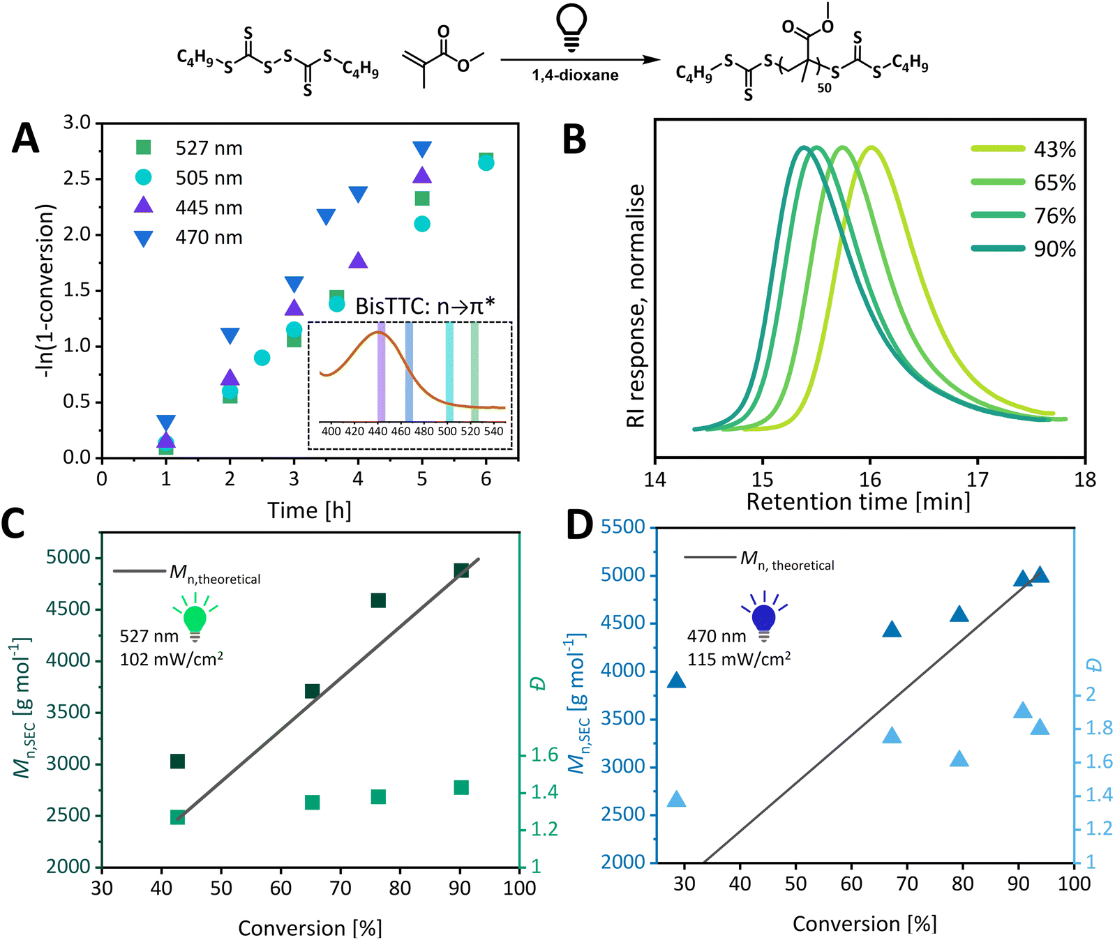 Photoiniferter-RAFT polymerization mediated by bis(trithiocarbonate ...
