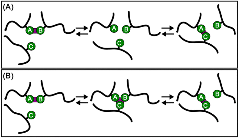 A tutorial review of linear rheology for polymer chemists: basics and ...