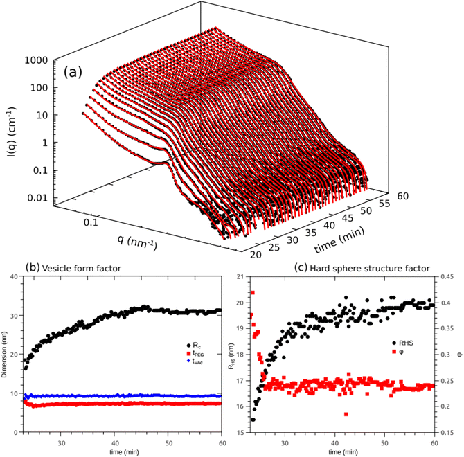 In situ SAXS investigation of vinyl acetate polymerization-induced self ...