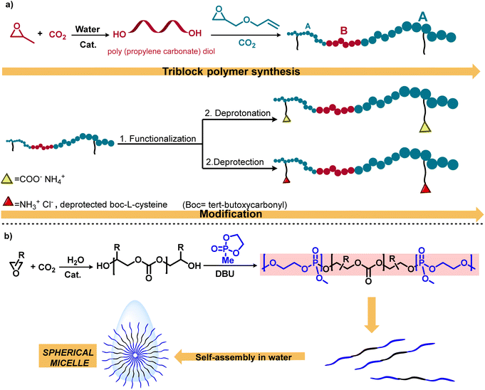 Post-polymerization functionalization of aliphatic polycarbonates using ...