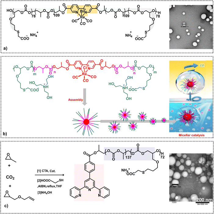 Post-polymerization functionalization of aliphatic polycarbonates using ...