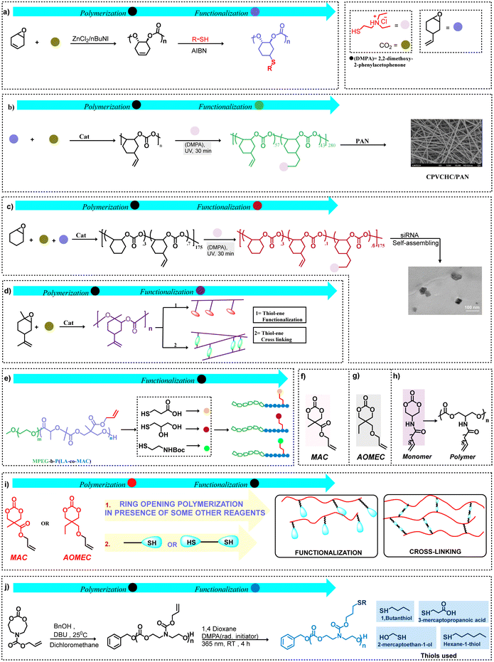 Post-polymerization functionalization of aliphatic polycarbonates using ...