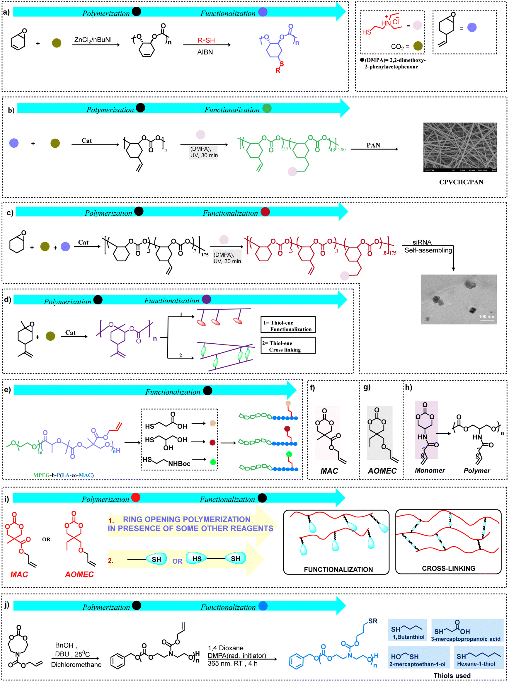 Post-polymerization functionalization of aliphatic polycarbonates using ...