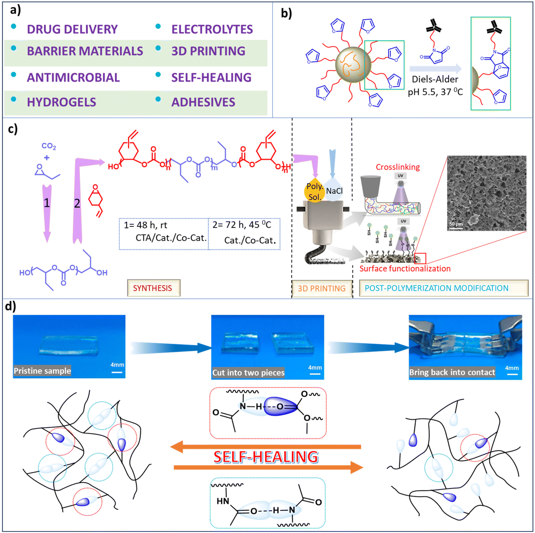 Post-polymerization functionalization of aliphatic polycarbonates using ...
