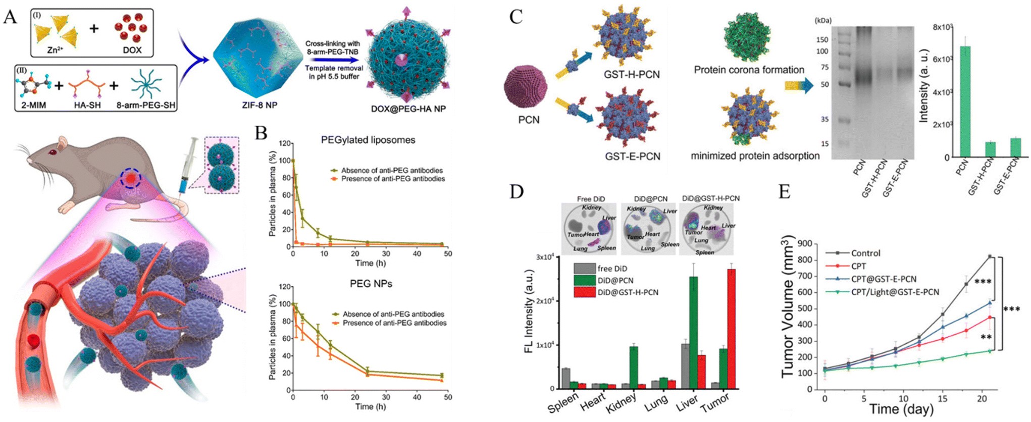 Surface functionalization of metal–organic framework nanoparticle for overcoming biological ...