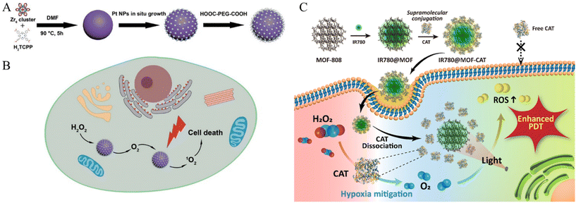 Surface functionalization of metal–organic framework nanoparticle for overcoming biological ...