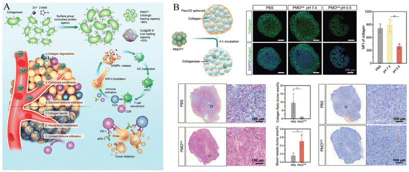 Surface functionalization of metal–organic framework nanoparticle for overcoming biological ...