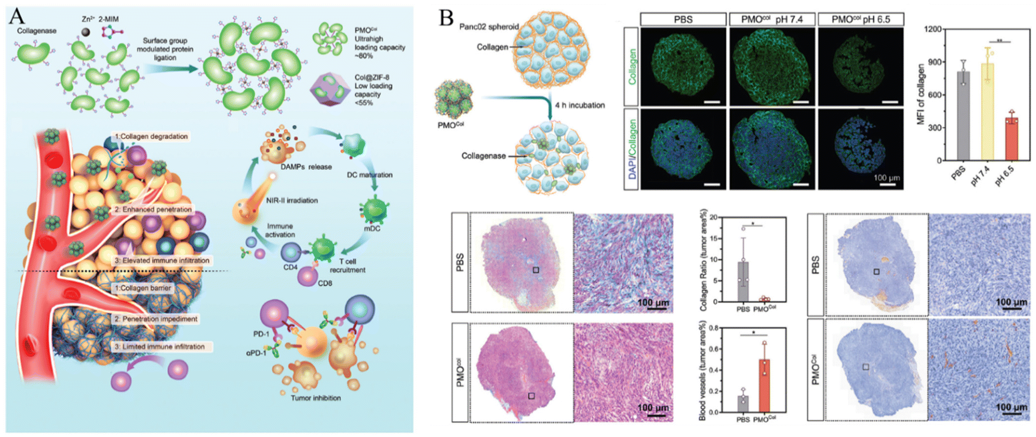 Surface functionalization of metal–organic framework nanoparticle for overcoming biological ...