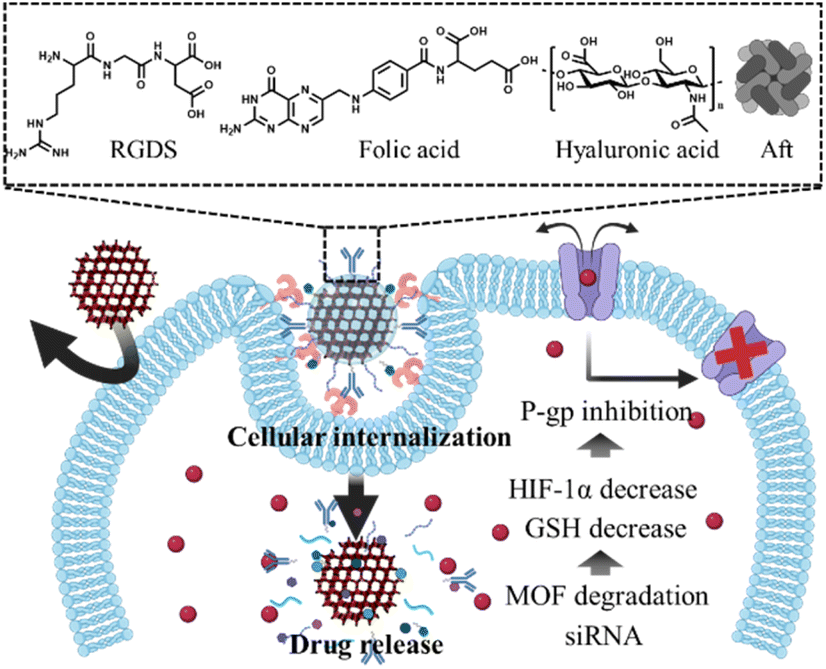 Surface functionalization of metal–organic framework nanoparticle for overcoming biological ...
