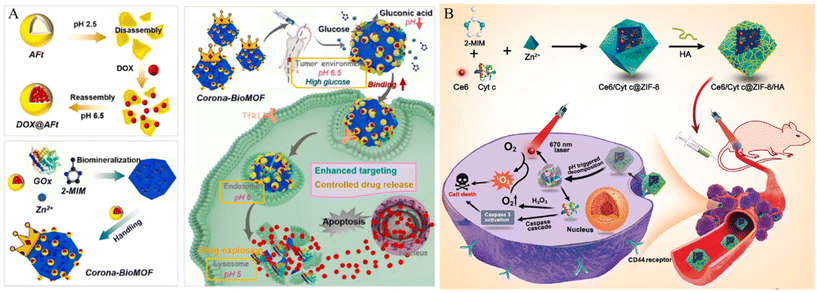 Surface functionalization of metal–organic framework nanoparticle for overcoming biological ...