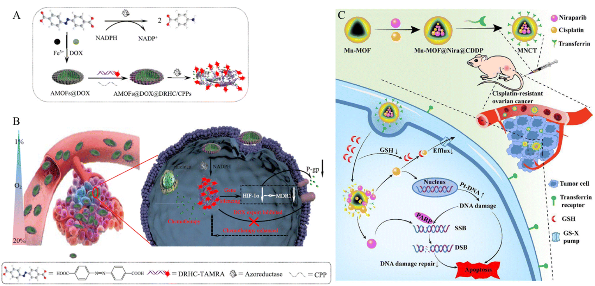 Surface functionalization of metal–organic framework nanoparticle for overcoming biological ...